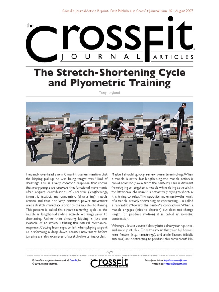 The Stretch-Shortening Cycle and Plyometric Training | Download Free ...