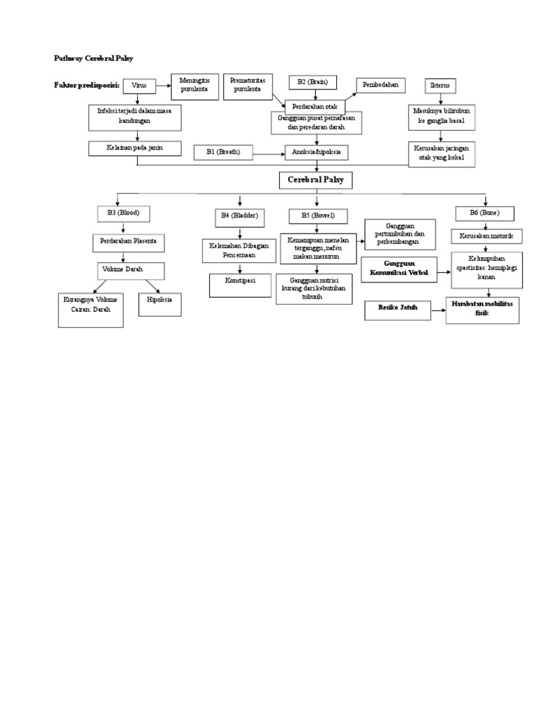 Pathway Cerebral Palsy