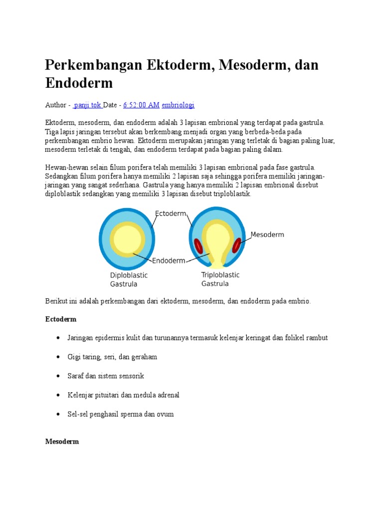 Perkembangan Ektoderm | PDF | Griya & Taman | Kesehatan Holistik