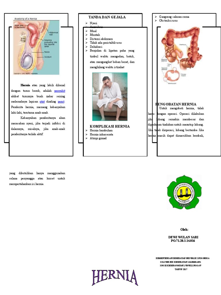 Leaflet Hernia | PDF