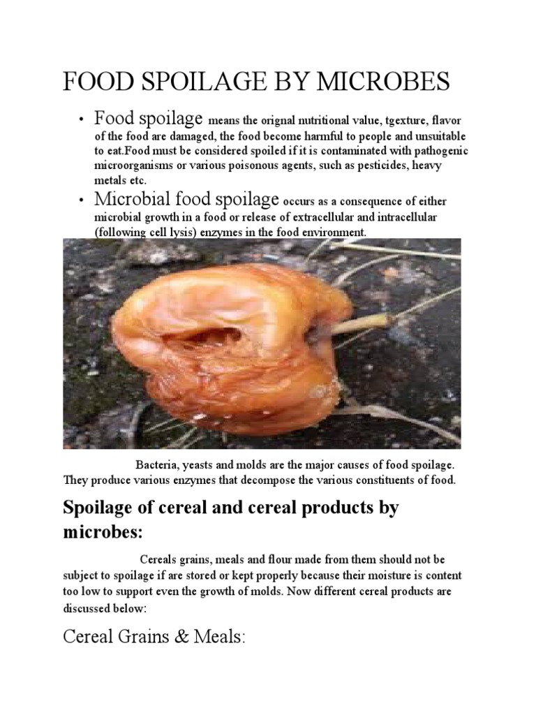 Spoilage | Decomposition | Mold