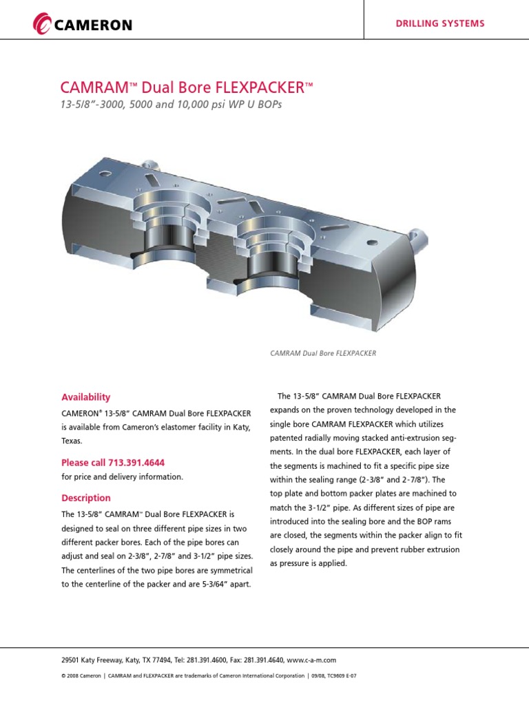 Cameron Dual Bore FLEXPACKER | PDF