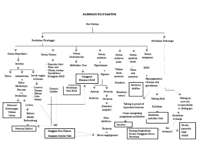 Pathways Post Partum: Gangguan Rasa Nyaman Gangguan Istirahat Tidur | PDF