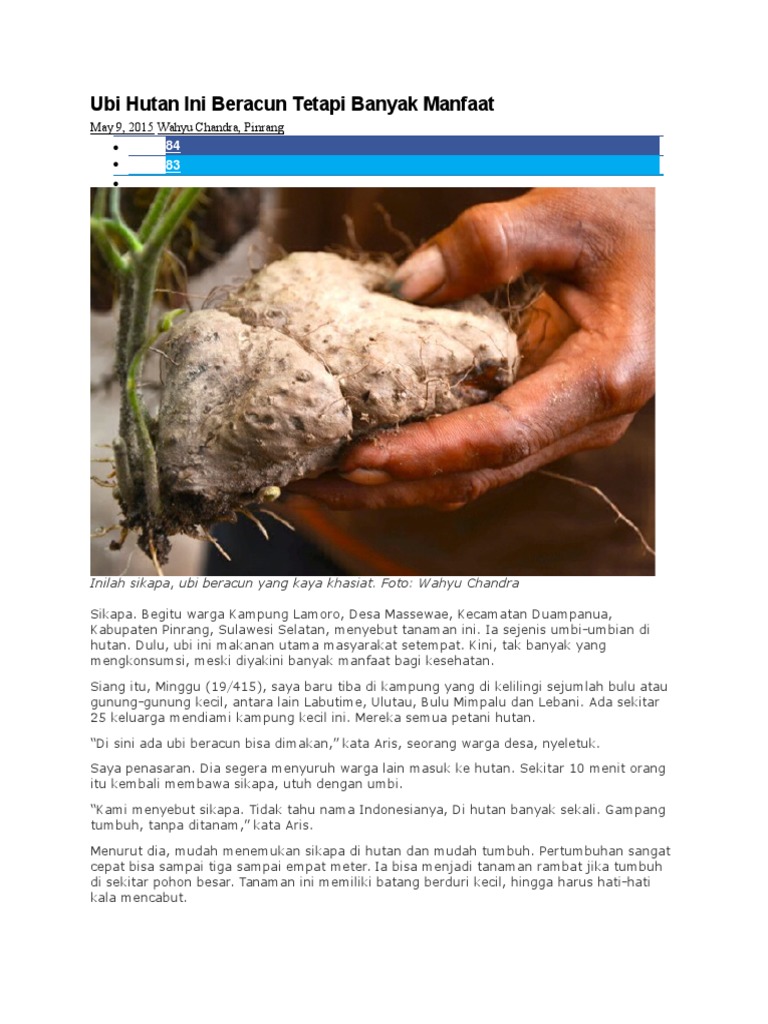 Manfaat dan Bahaya Ubi Hutan Beracun | PDF | Teknologi & Rekayasa
