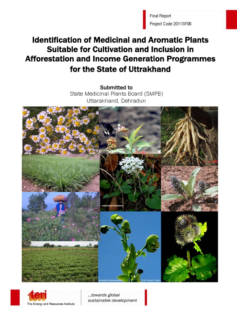 Identification Maps | PDF | Economics | Herbalism