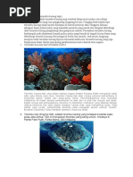 Morfologi Pantai | PDF