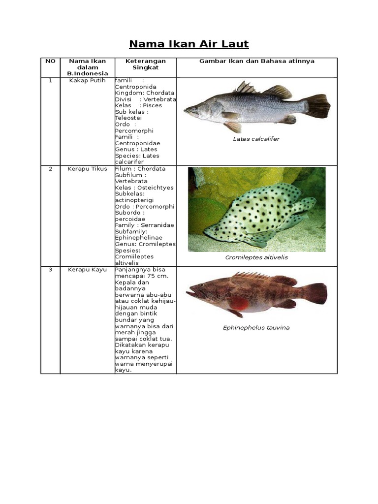 Nama Ikan Air Laut | PDF