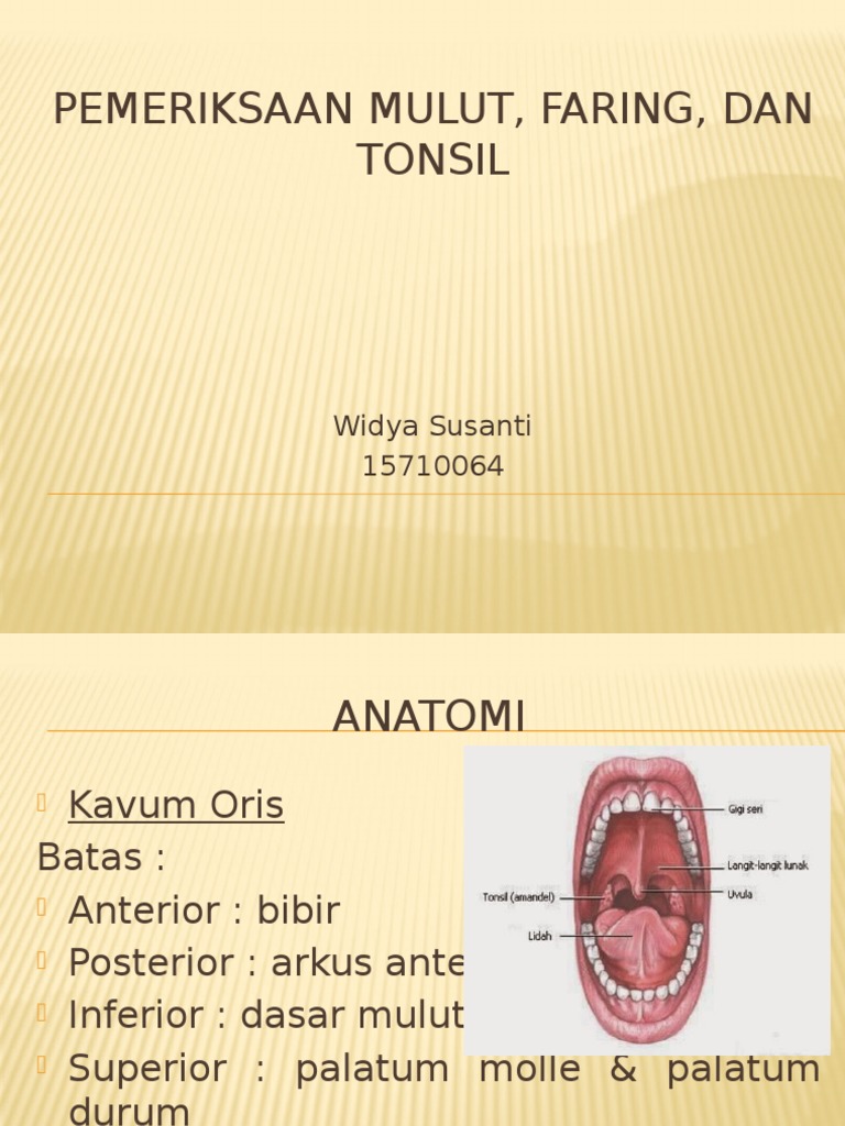 OHP 1 (Pemeriksaan Mulut, Faring, Dan Tonsil) - 2 | PDF