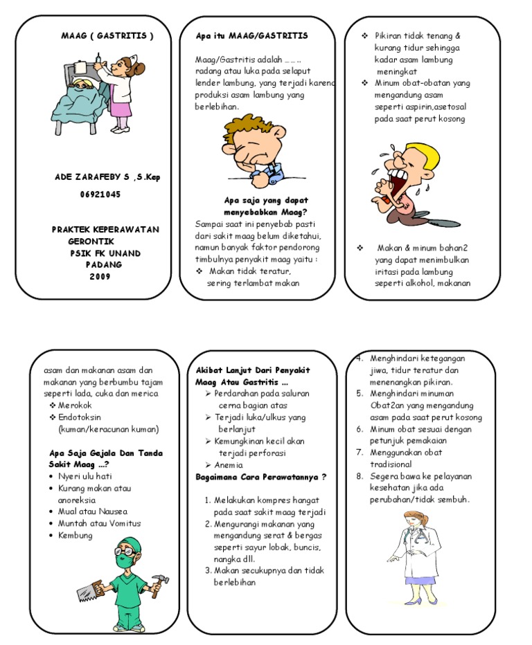 Leaflet Maag 1 | PDF