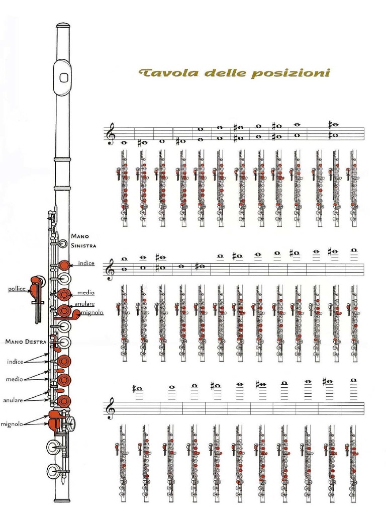 TAVOLA DELLE POSIZIONI DEL FLAUTO TRAVERSO.pdf