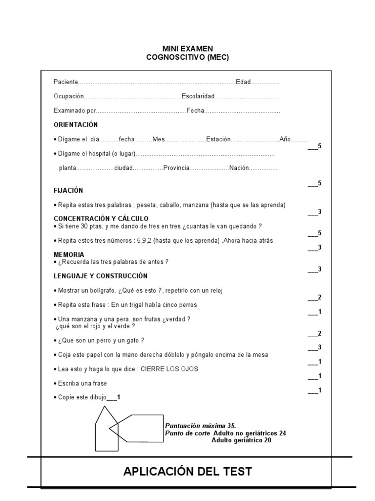 Mini Mental Test | PDF