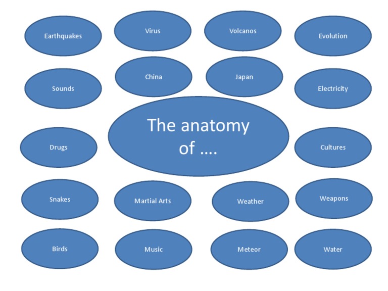 The Anatomy of Mindmap | PDF