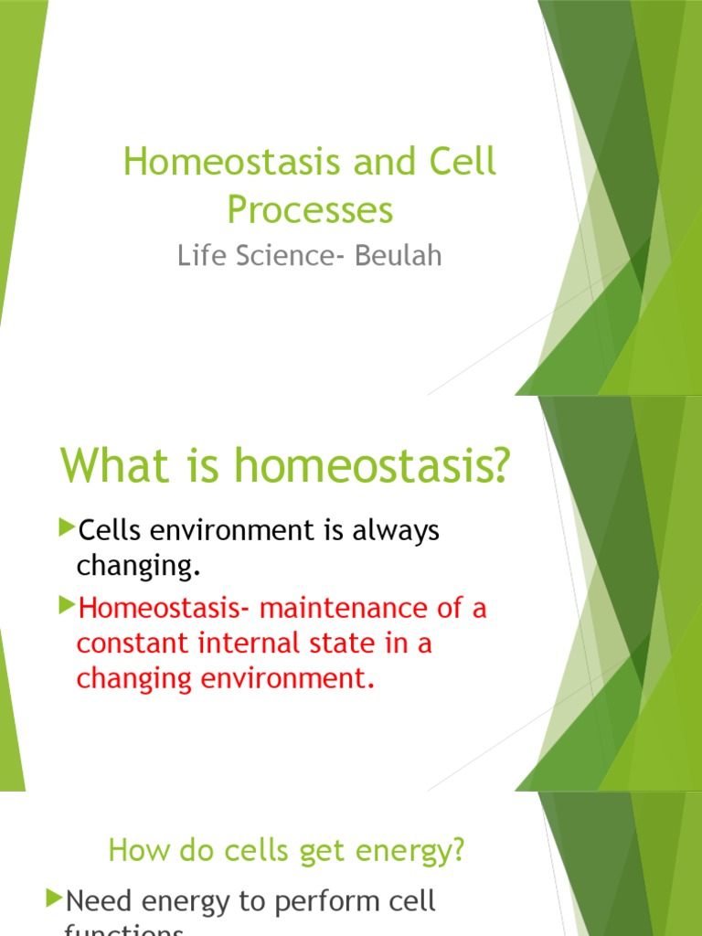 Homeostasis and Cell Processes | PDF