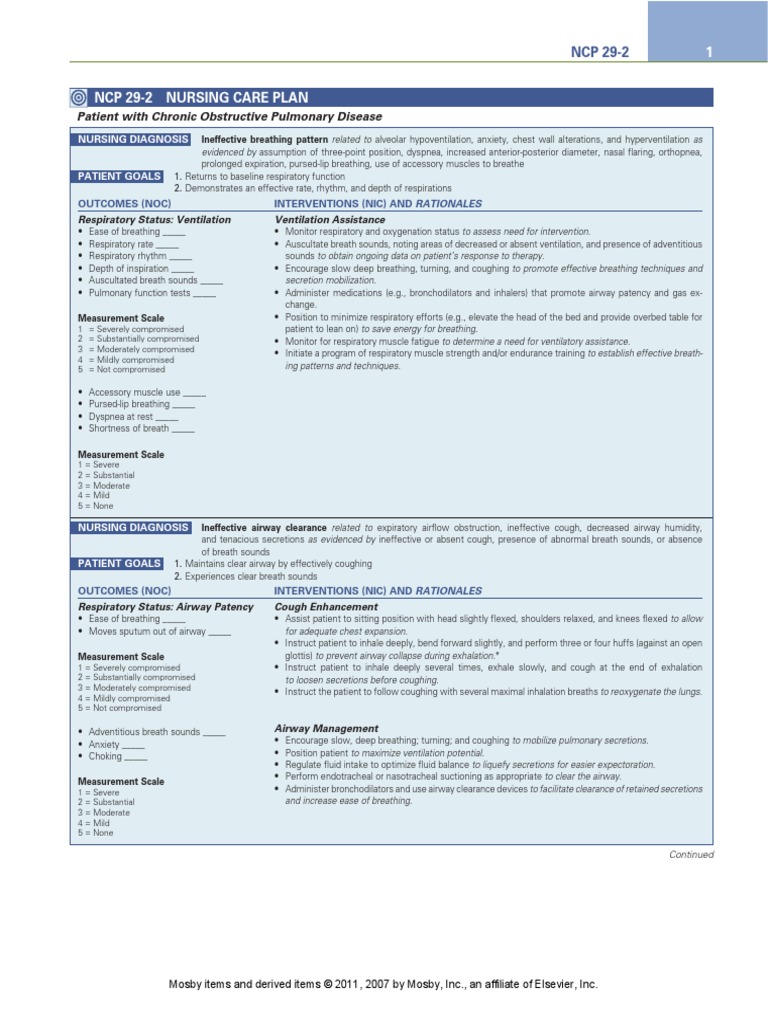 COPD Care PLAN.pdf | Breathing | Respiratory System