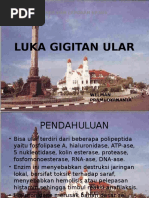 Upaya Kesehatan: Promotif, Preventif, Kuratif, Rehabilitatif | PDF