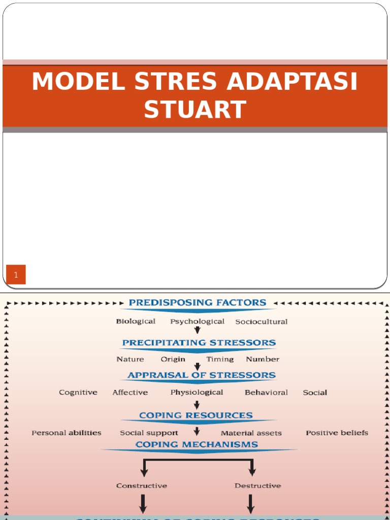 Model Stuart Adaptasi | PDF