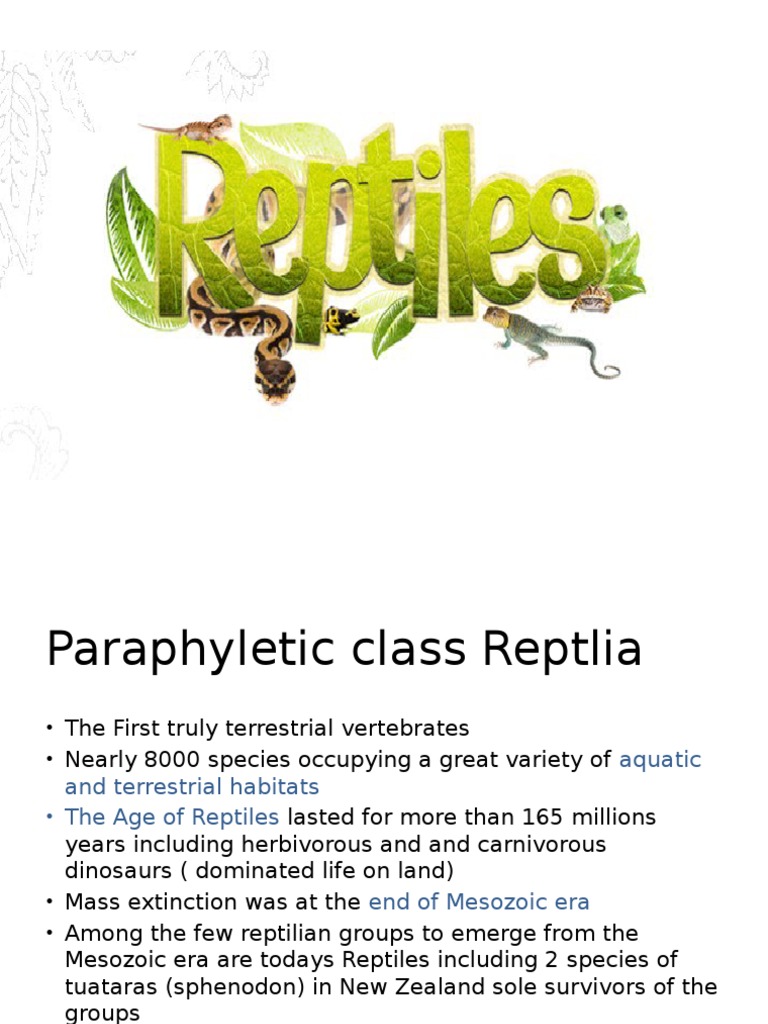 Reptiles Presentation | PDF | Reptile | Lizard