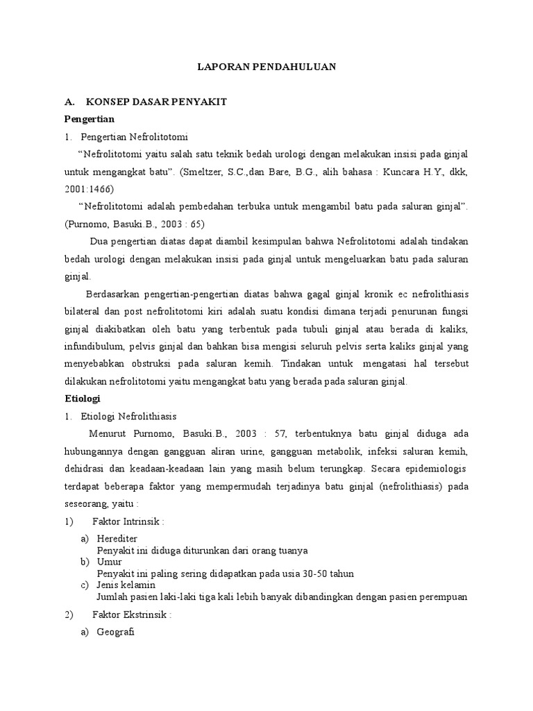 LP Nefrolitotomi | PDF