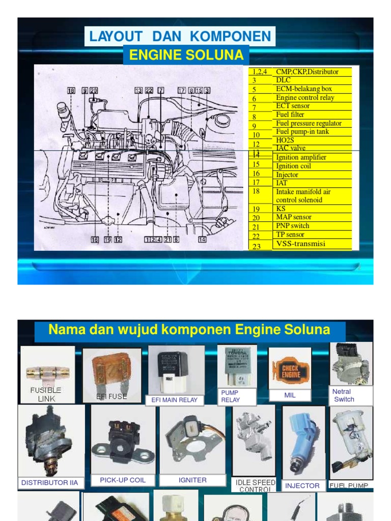 Soluna Identifikasi Efi Soluna | PDF