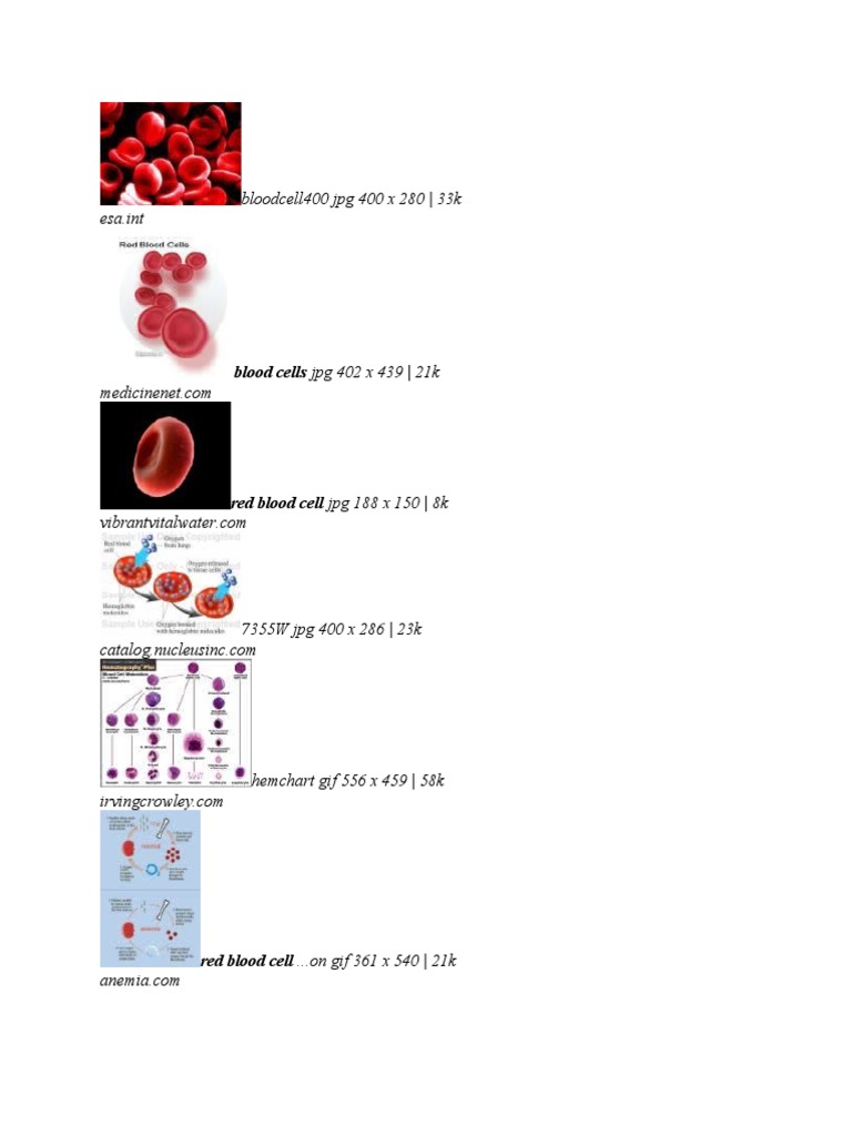 Red Blood Cell Image Dimensions | PDF | Tissue (Biology) | Histology