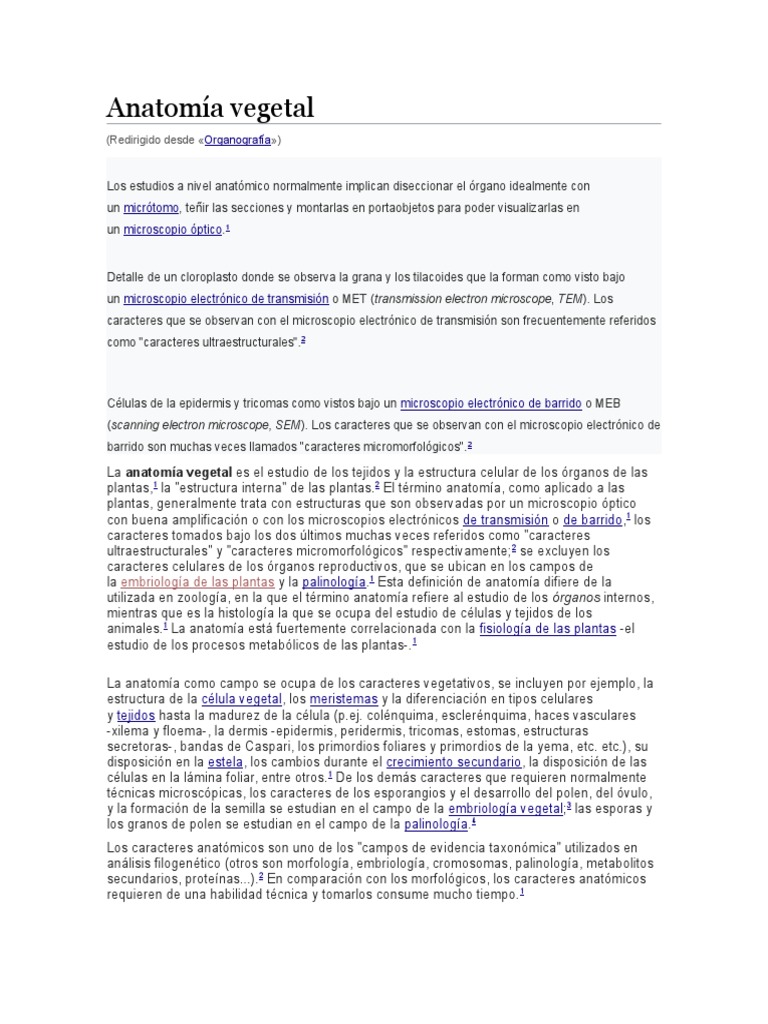 Anatomía Vegetal | PDF | Botánica | Ramas de la botánica