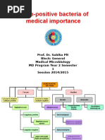 Bacterial ID Flowchart | PDF | Streptococcus | Staphylococcus