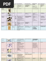 Cat FAS and Frustration Scale Guide | PDF