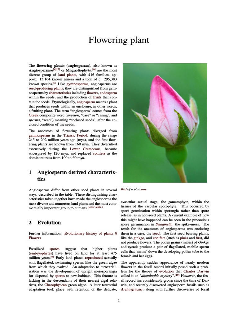 Flowering plant evolution and characteristics | PDF | Biological ...