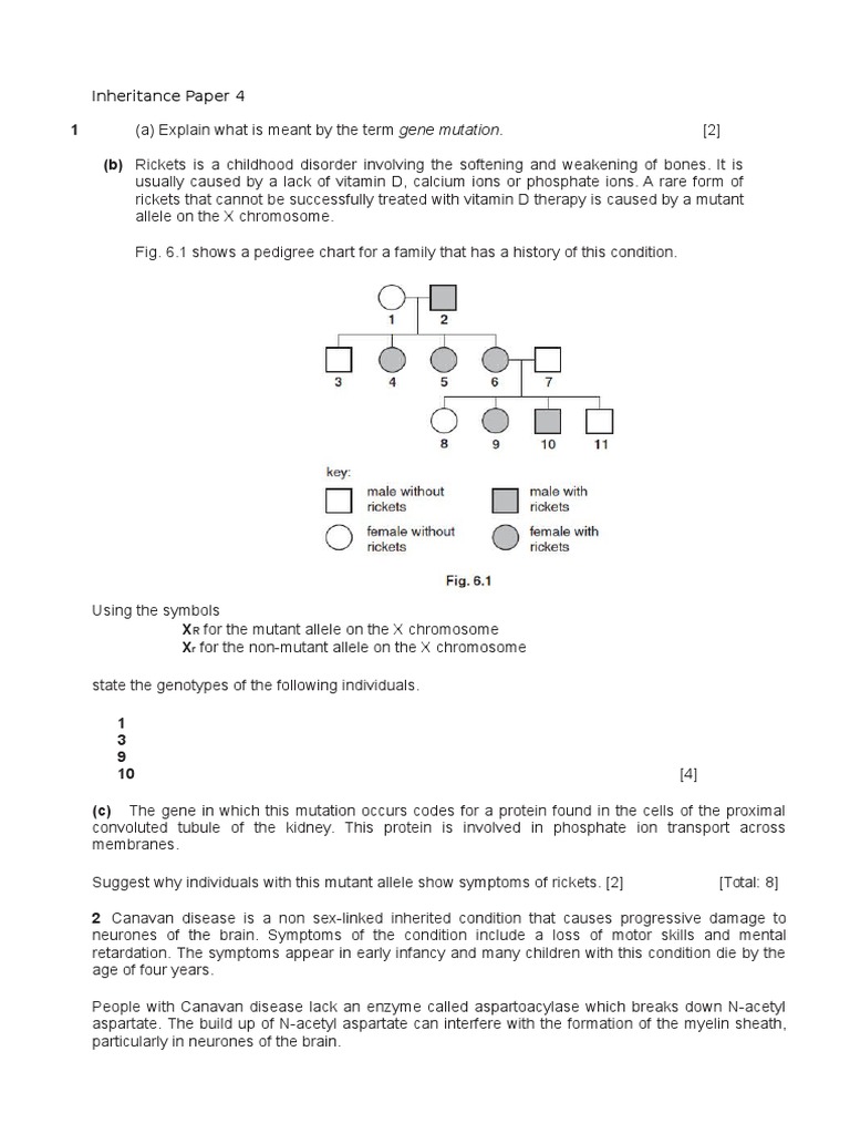 Paper 4 Inheritance | PDF | Allele | Zygosity