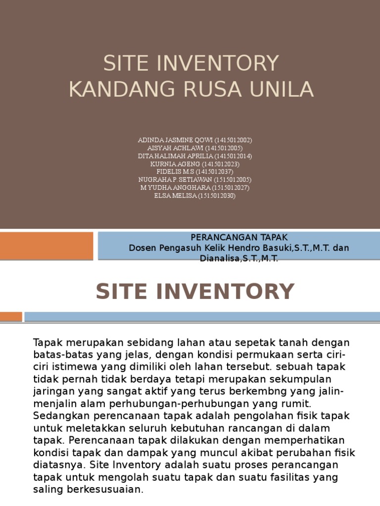 Site Inventory | PDF