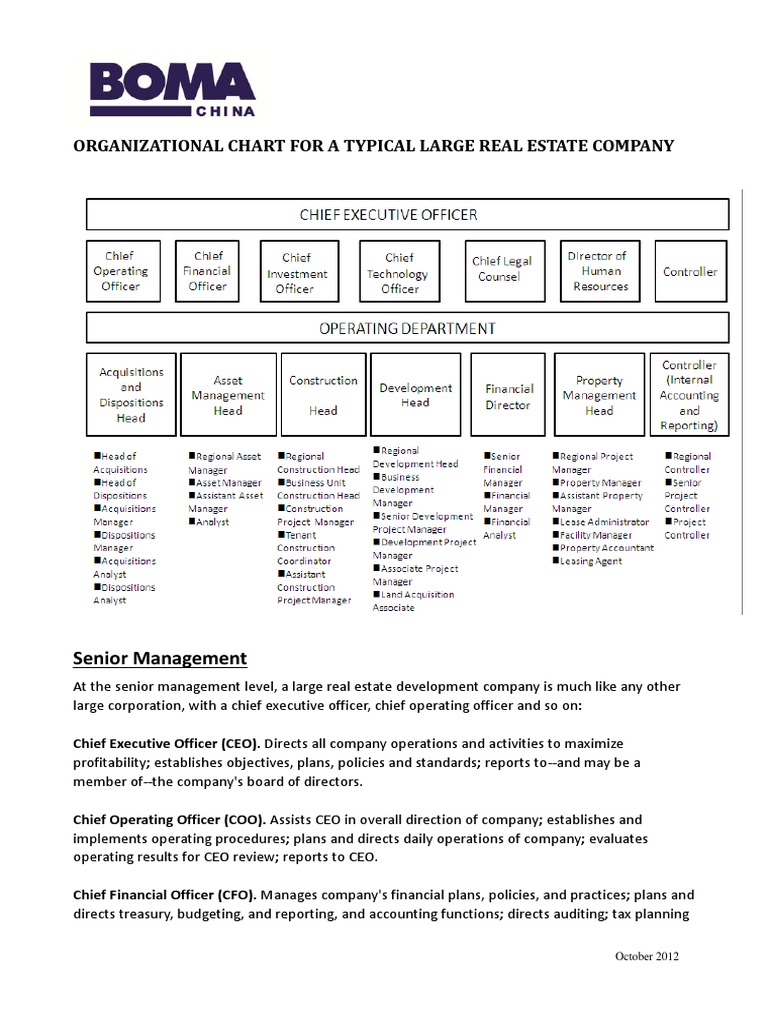 Organizational Chart For A Typical Large Real Estate Company | Download ...