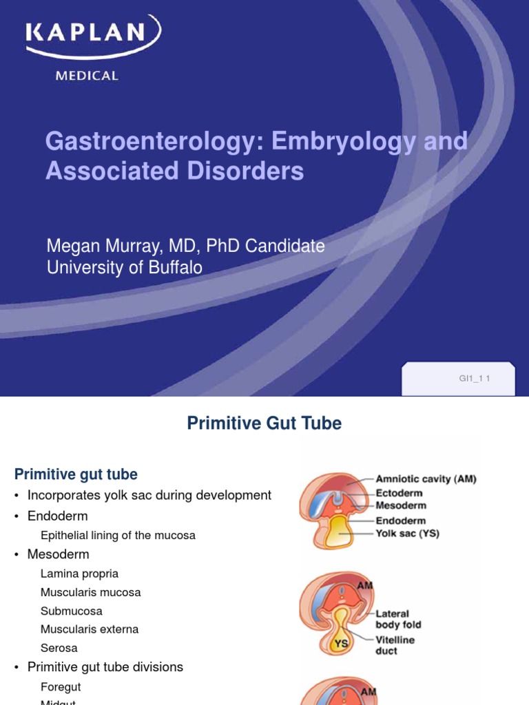 10_Gastroenterology.pdf | Liver | Pancreas