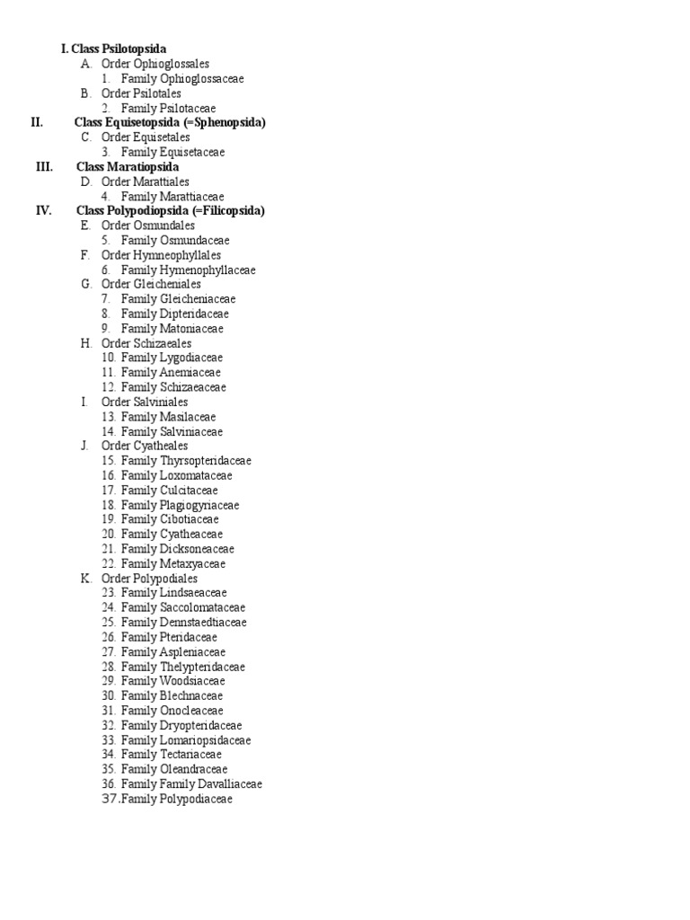 I. Class Psilotopsida | PDF