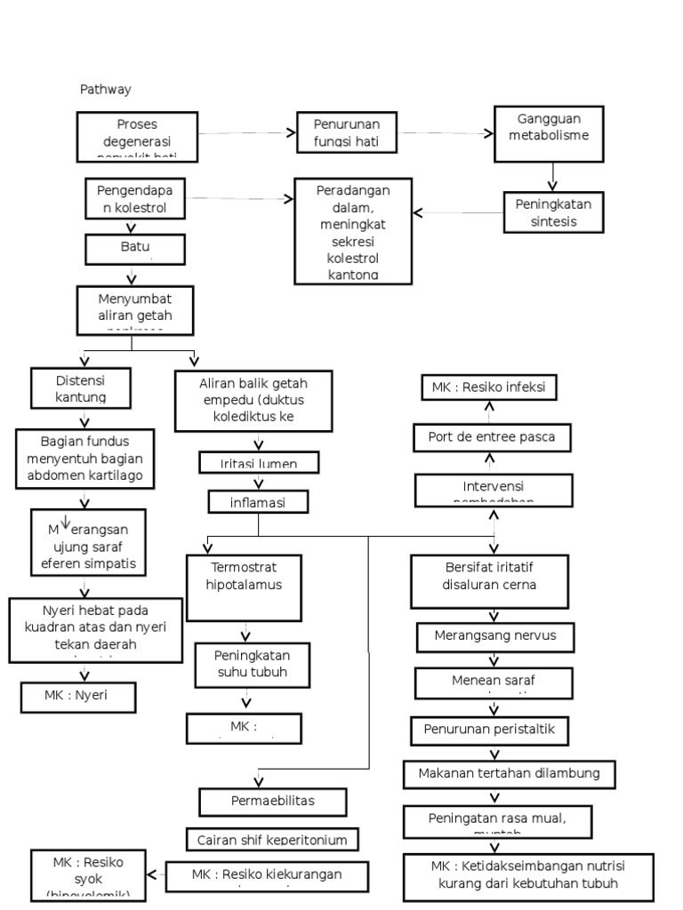 Pathway Batu Empedu | PDF