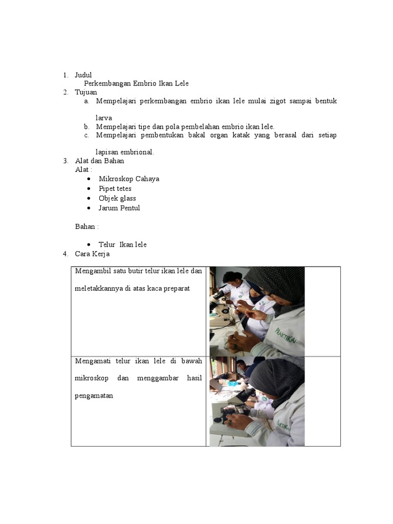 Perkembangan Embrio Ikan Lele | PDF