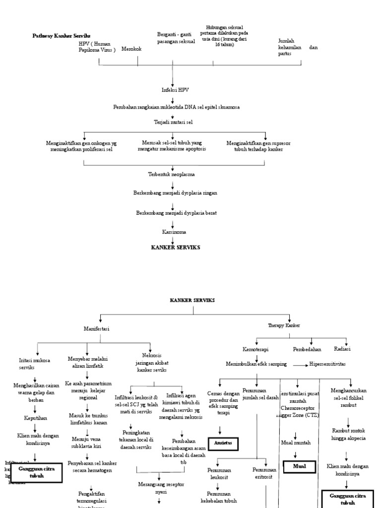 Pathway Ca Serviks Atika | PDF