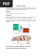 Protocolo de Tinción Diff-Quik en Citología | PDF | Tinción | Biología ...