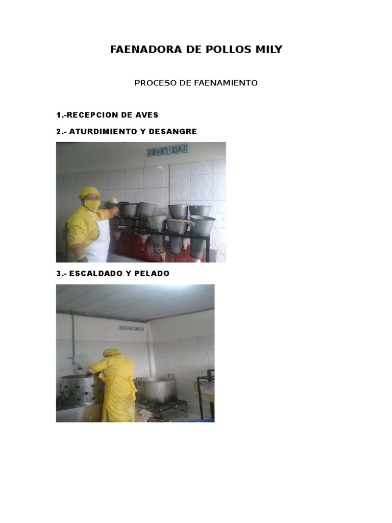 Proceso de Faenamiento de Pollos Mily | PDF