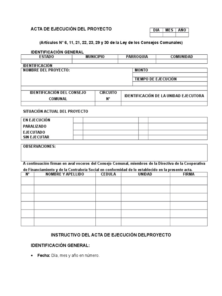 Acta de Ejecución Del Proyecto | PDF