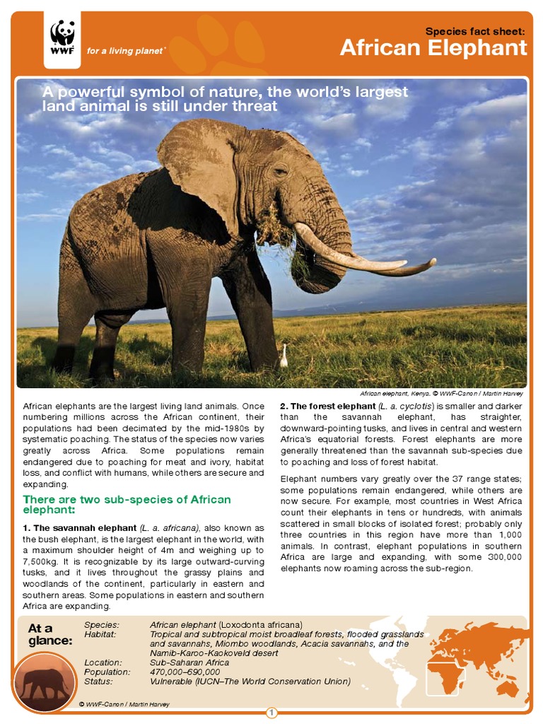 African Elephant Factsheet2007w | PDF | World Wide Fund For Nature ...