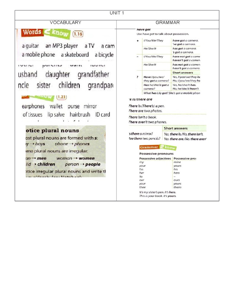 Unit 1 Vocabulary Grammar | PDF
