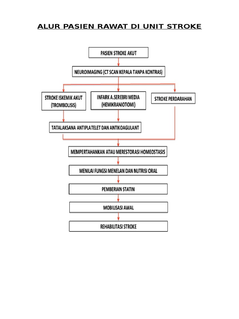 Alur Pasien Rawat Di Unit Stroke | PDF