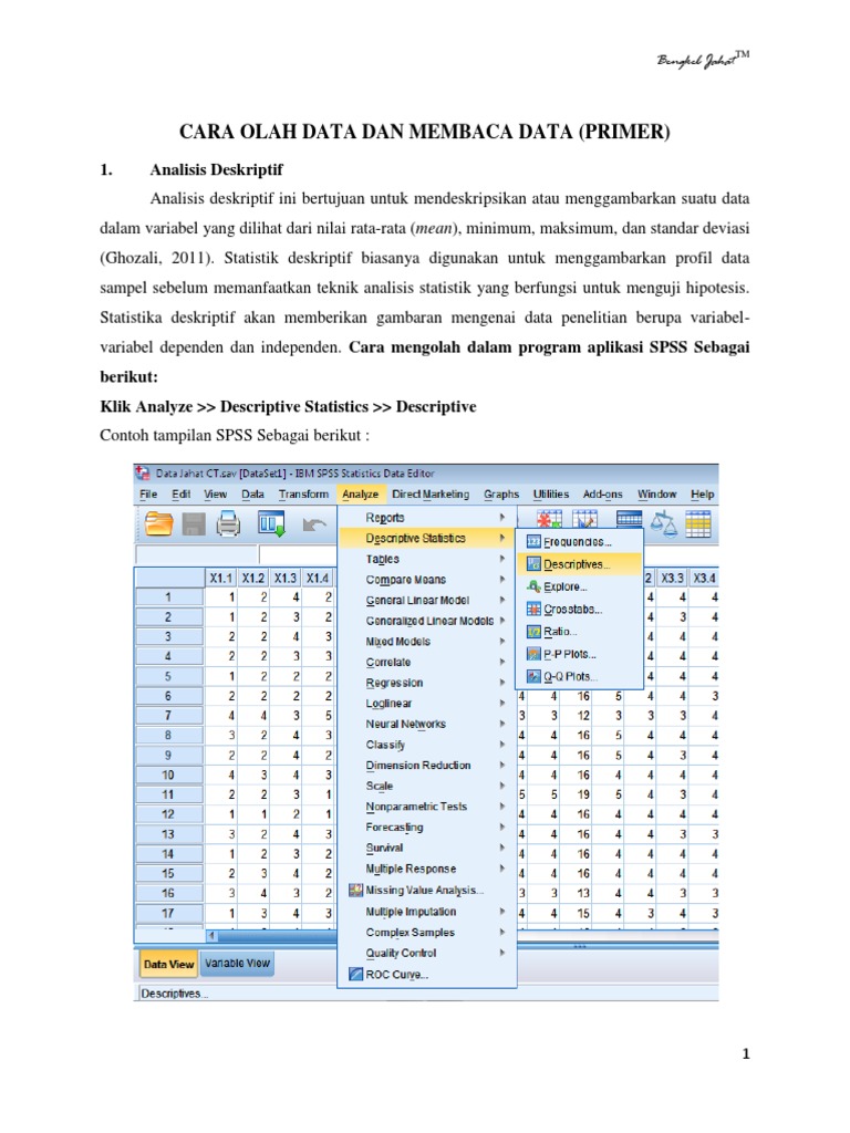 Cara Mengolah Data SPSS Dan Cara Membaca Data | PDF
