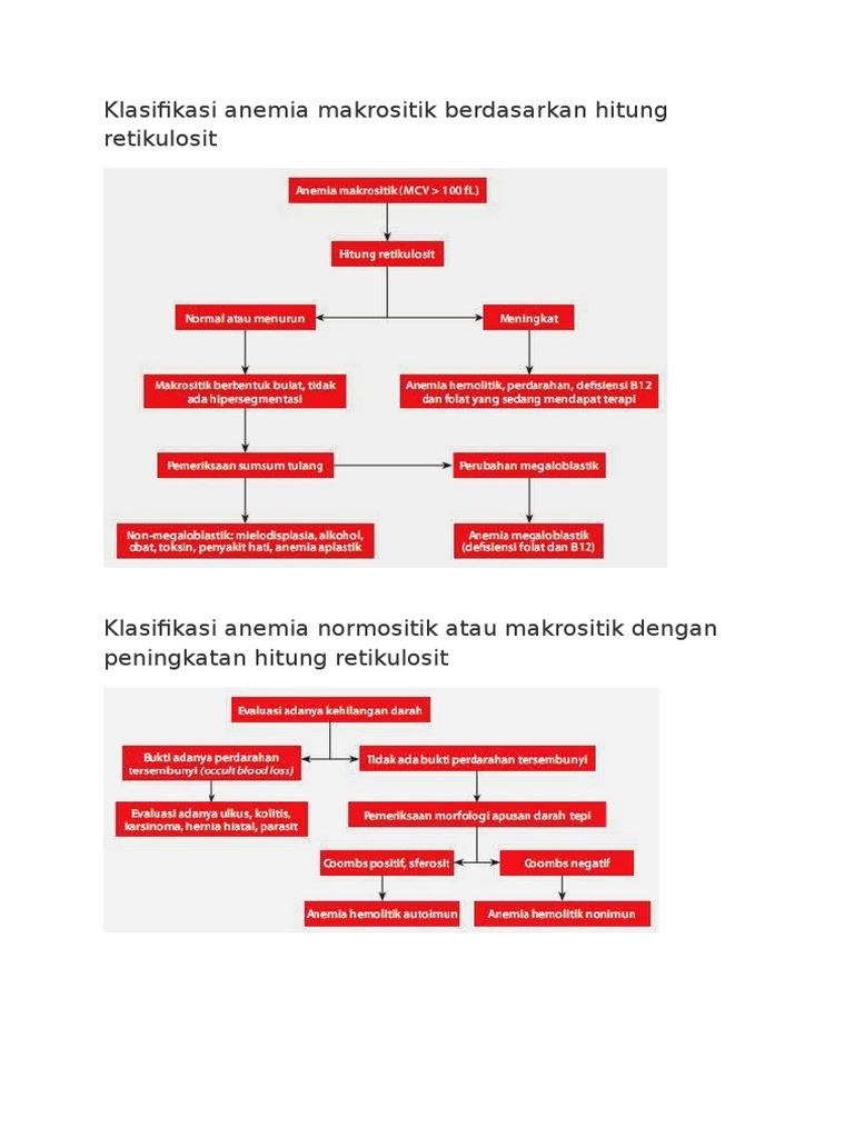 Klasifikasi Anemia Berdasarkan Retikulosit | PDF