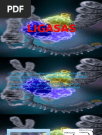 Clasificación de Ligasas en Bioquímica | PDF | Biomoléculas | Biología ...