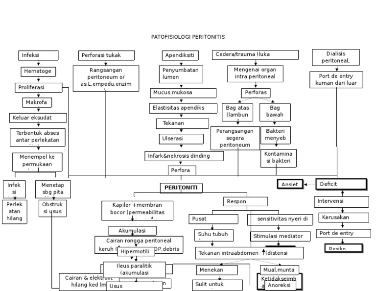 Patofisiologi Peritonitis | PDF