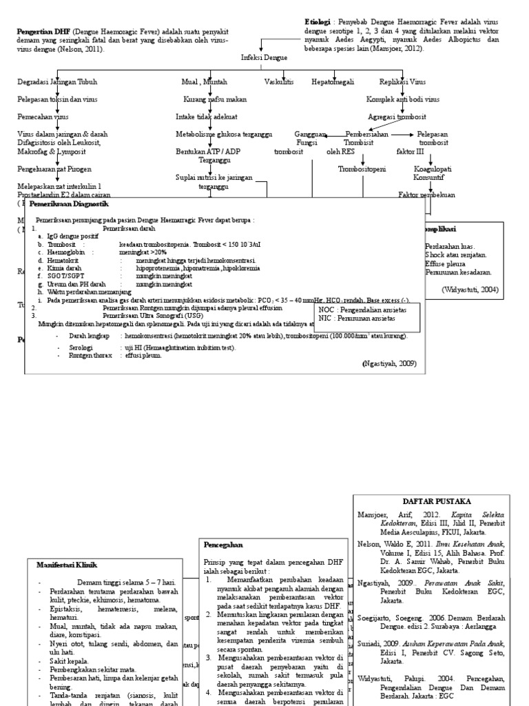 Konsep Map DHF | PDF | Kesehatan Holistik | Sains & Matematika