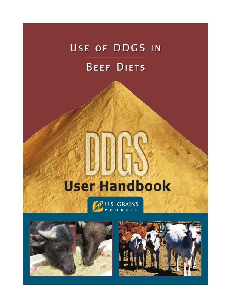 02 - Use of DDGS For Beef Cattle | PDF | Cattle | Maize