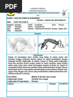 Foliasi and Non Foliasi | PDF