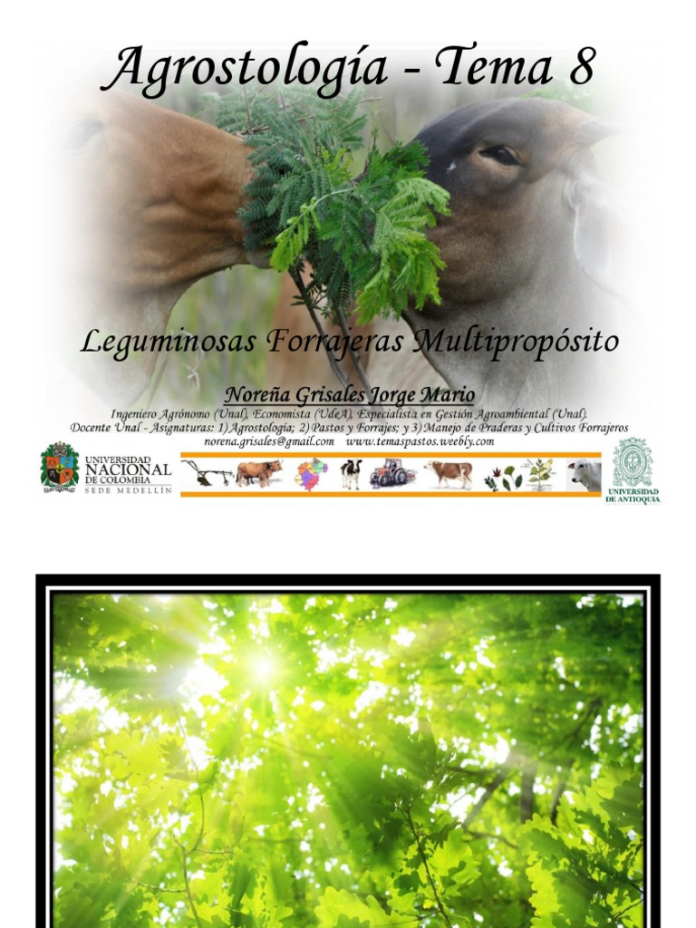 Tema 8 Agrostologia - Leguminosas Forrajeras Multipropósito | PDF ...